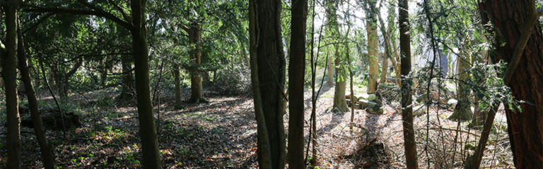 Home [goblincombe.org.uk]